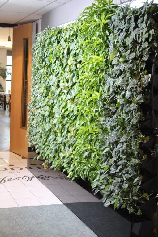 Wall Mounted Vertical Foliage | UK | Funky Yukka Office Plants