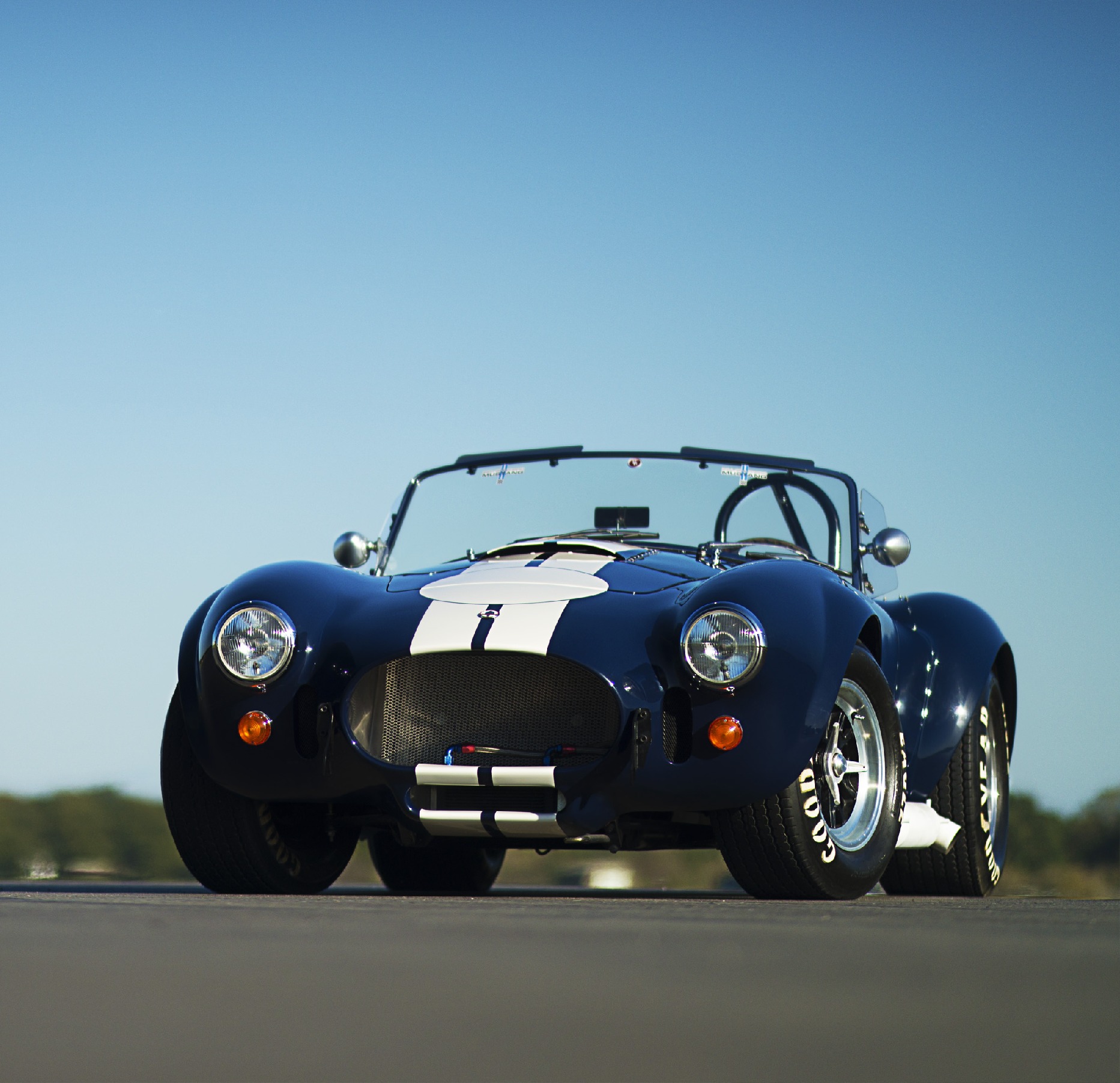 Bill Shepherd Mustang