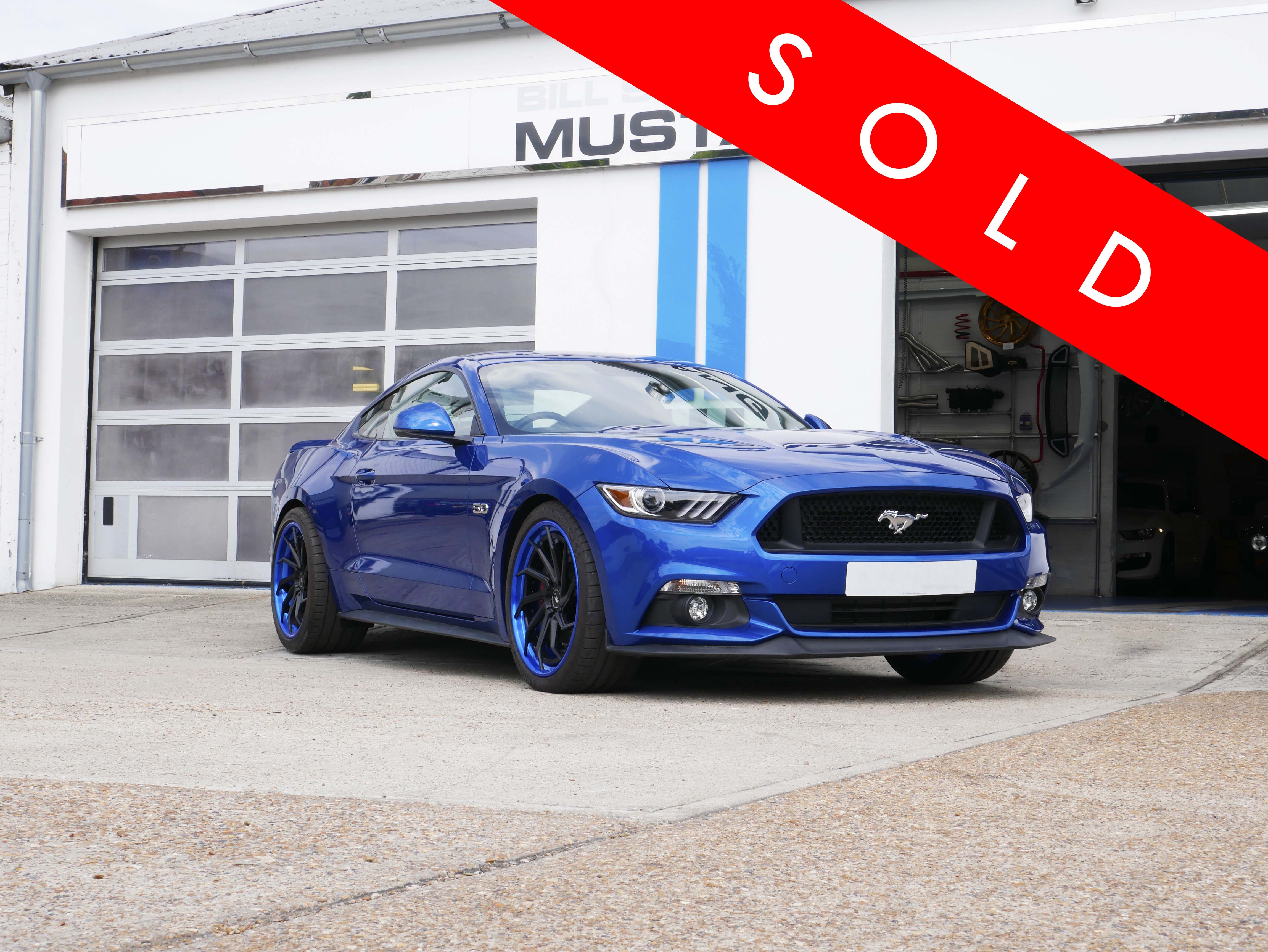 Bill Shepherd Mustang