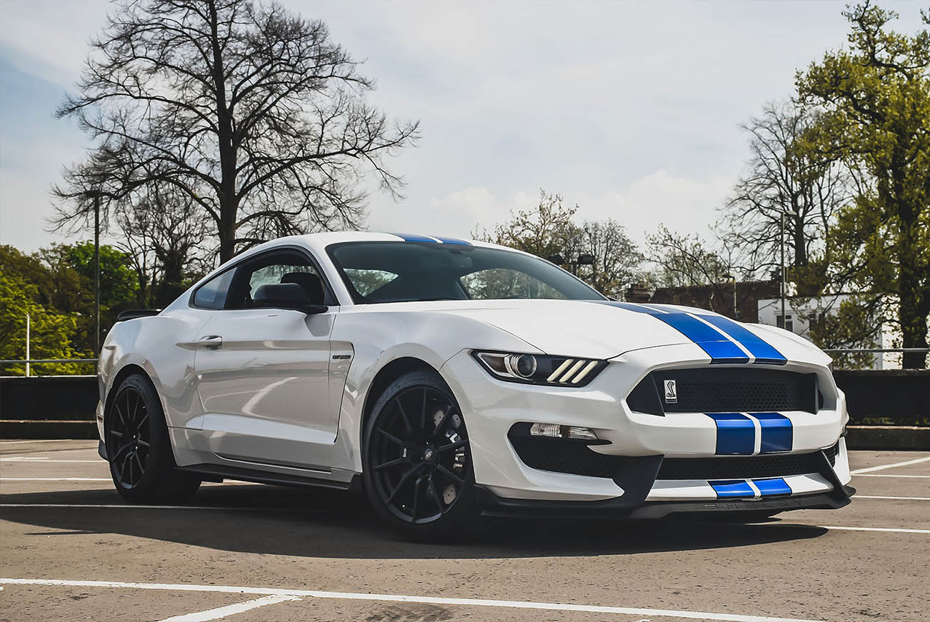 Bill Shepherd Mustang