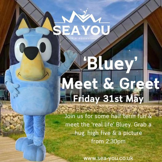 BLUEY MEET & GREET | SeaYou Cafe