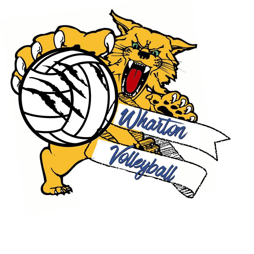 HOME | whsvolleyball