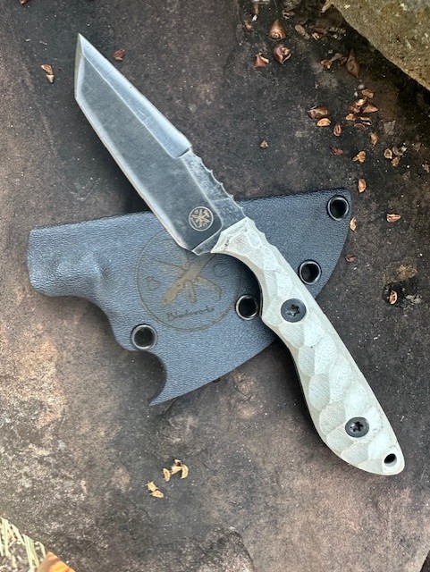 November 2024 Training Update