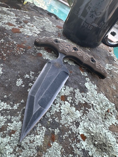 November 2024 Training Update