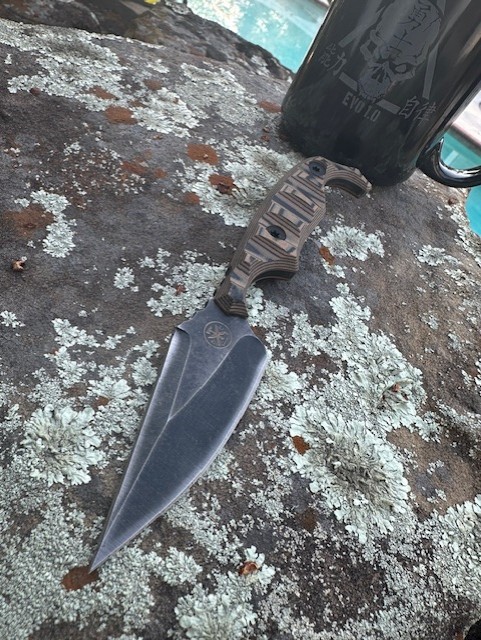 November 2024 Training Update