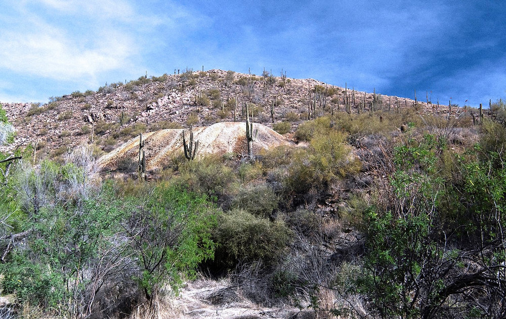 Dixie Mine Trail Fountain Hills, AZ