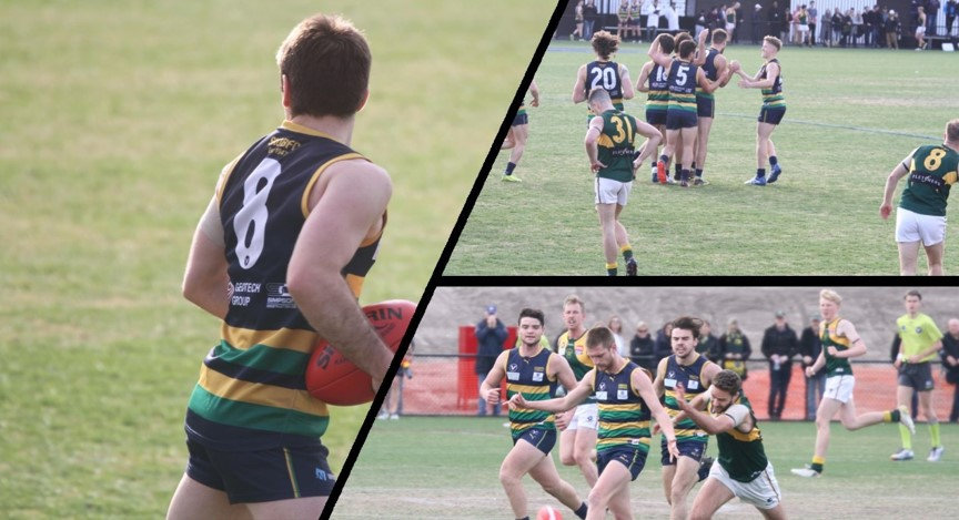 Player Subs for 2019