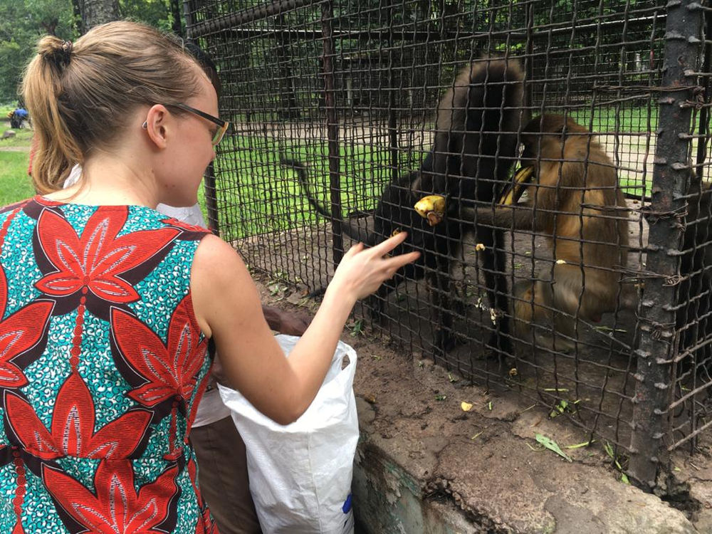 Fundraiser to save the Kinshasa Zoo animals by Save Animals in the ...
