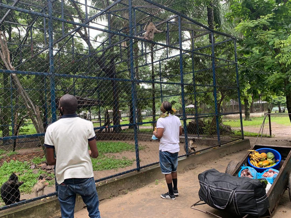 Fundraiser to save the Kinshasa Zoo animals by Save Animals in the ...