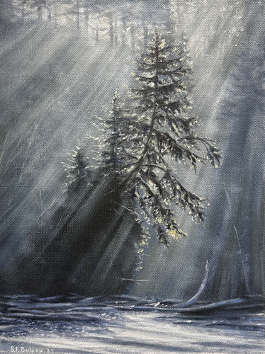 “Transfixed” 12”x9” Original Oil Painting | SarahBoileauArtwork
