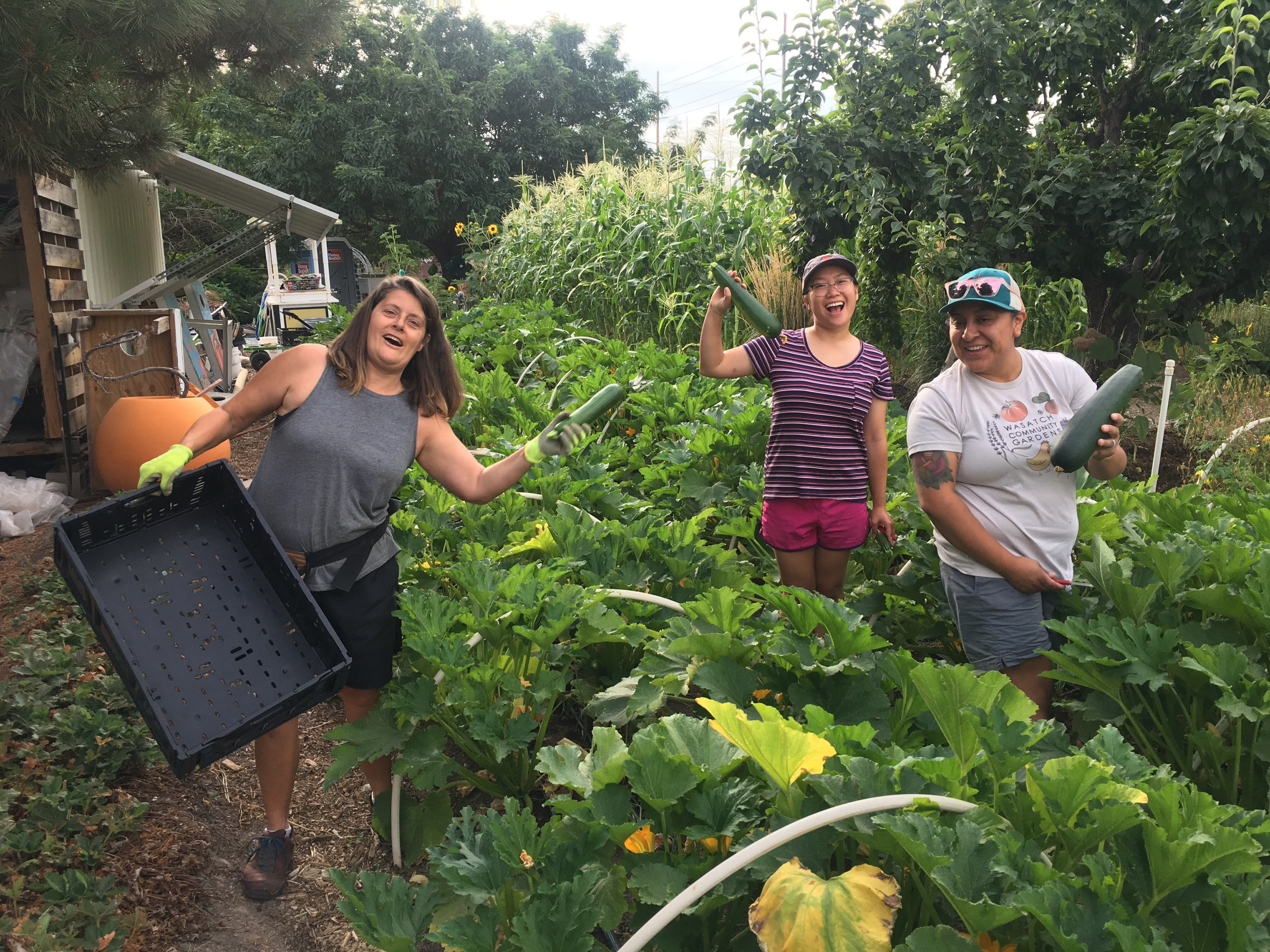 Eden Streets | Relaunch Lives Through Farming | Community Outreach