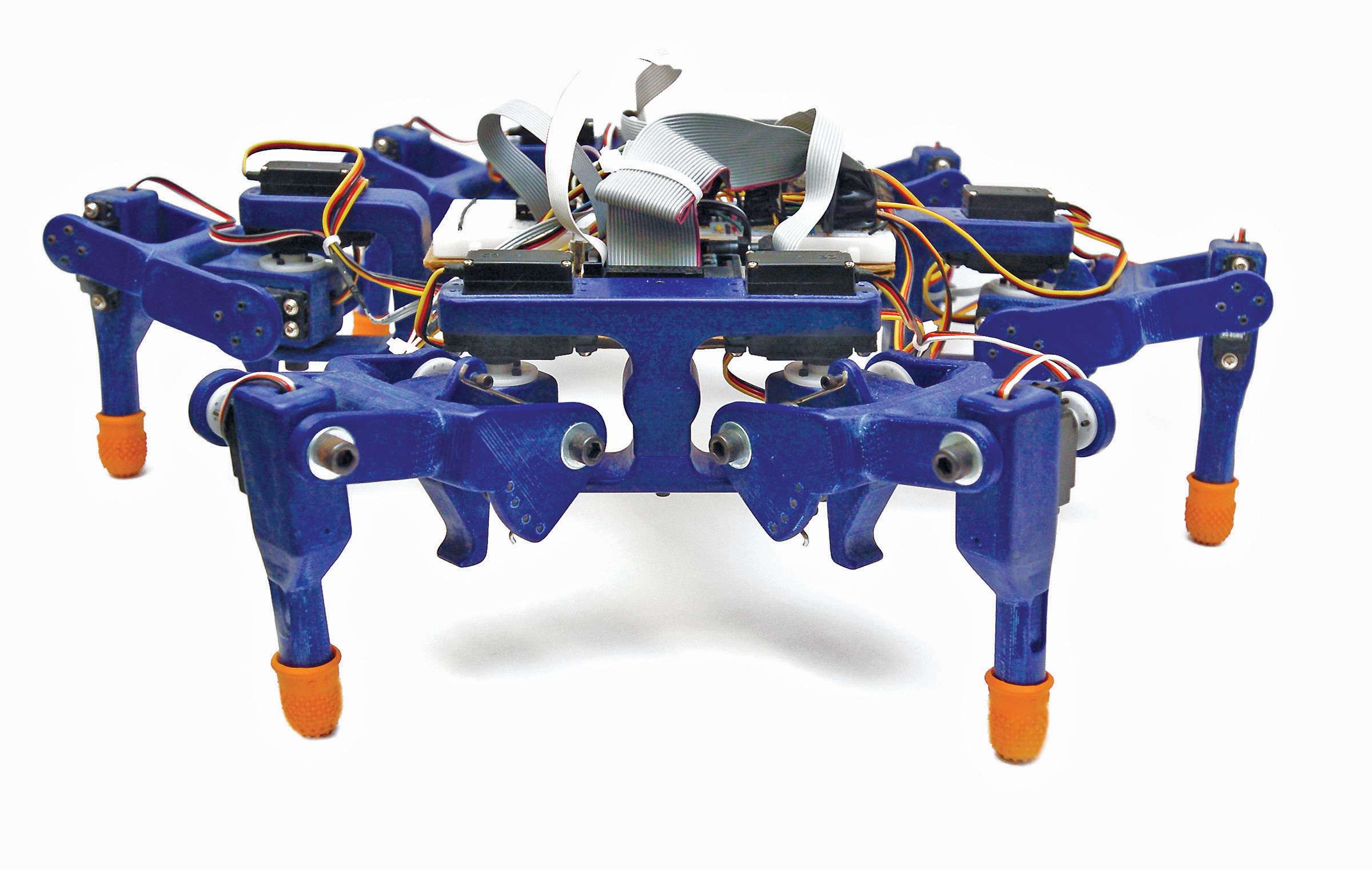 Hexapode (Walking Robot)