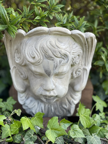 Stone face planter | Tom's Room Shop