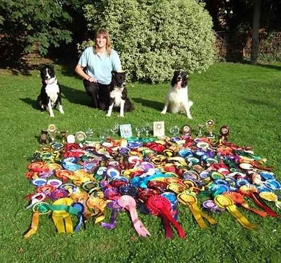 Dog Training and Behaviour in Herefordshire