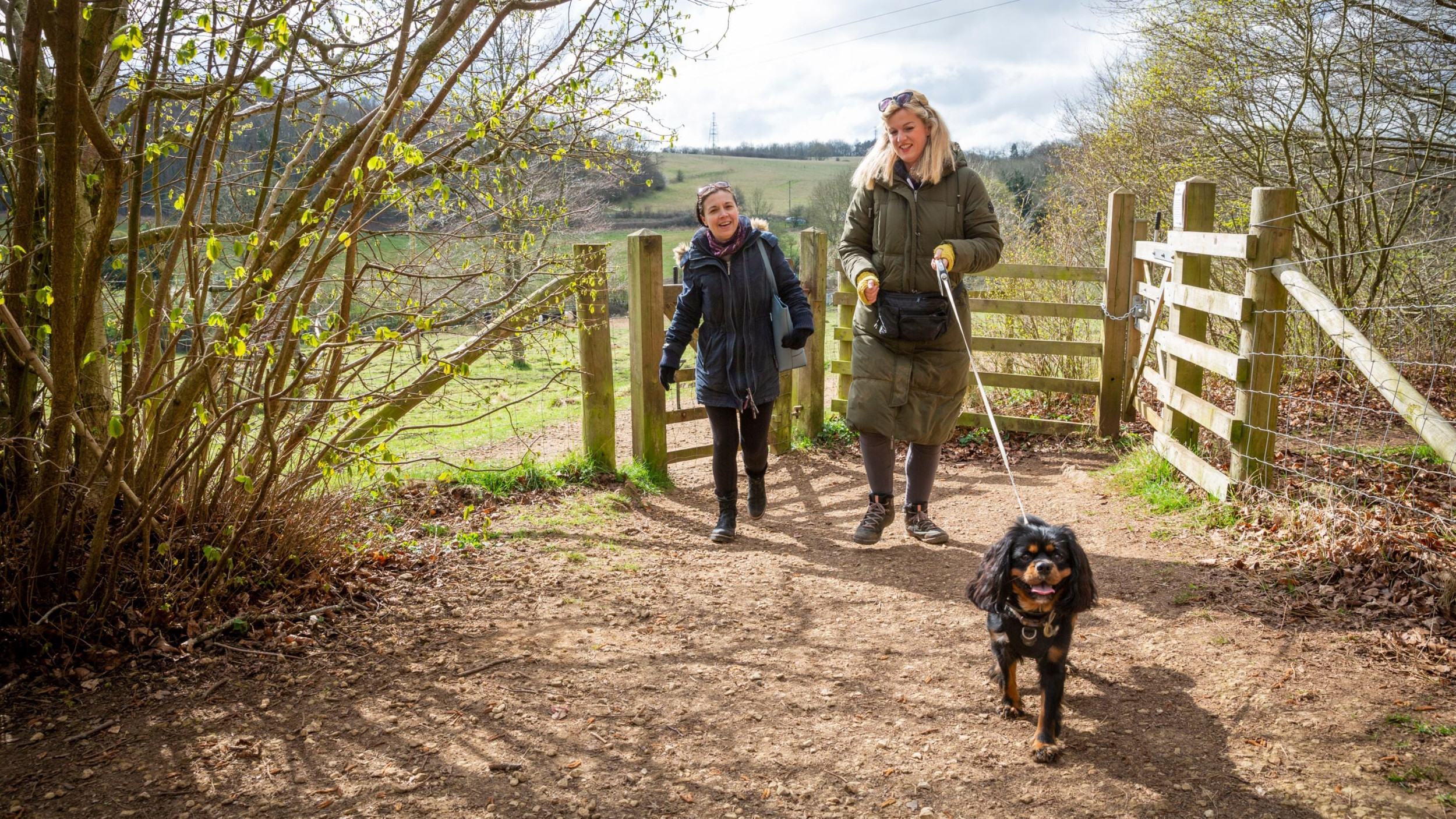 Best 5 Places to Walk Your Reactive Dog in Herefordshire
