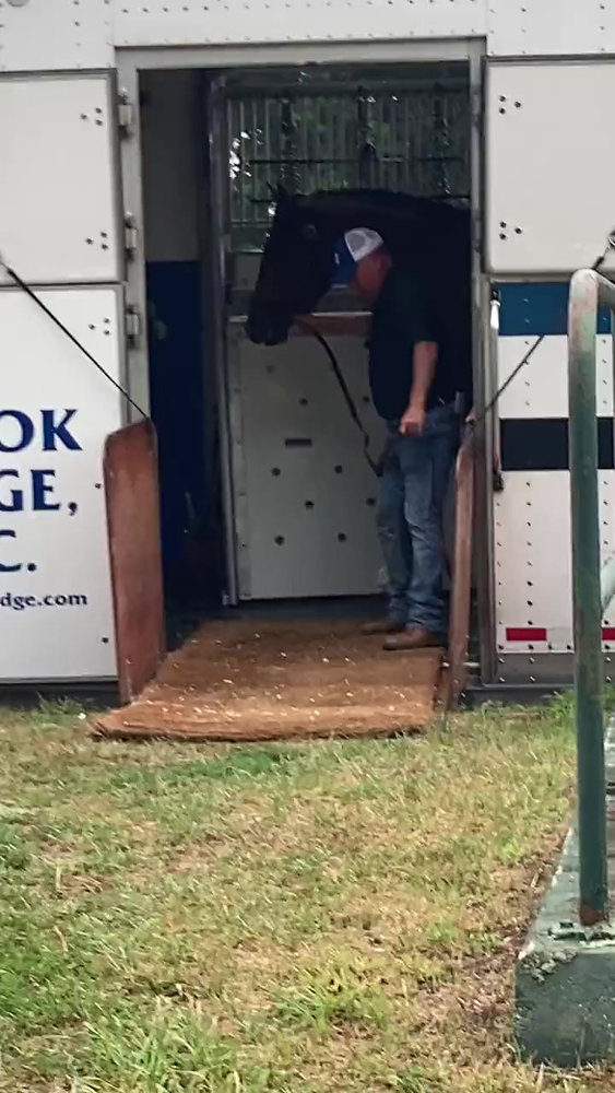 The 2023 Haskell Stakes Notes