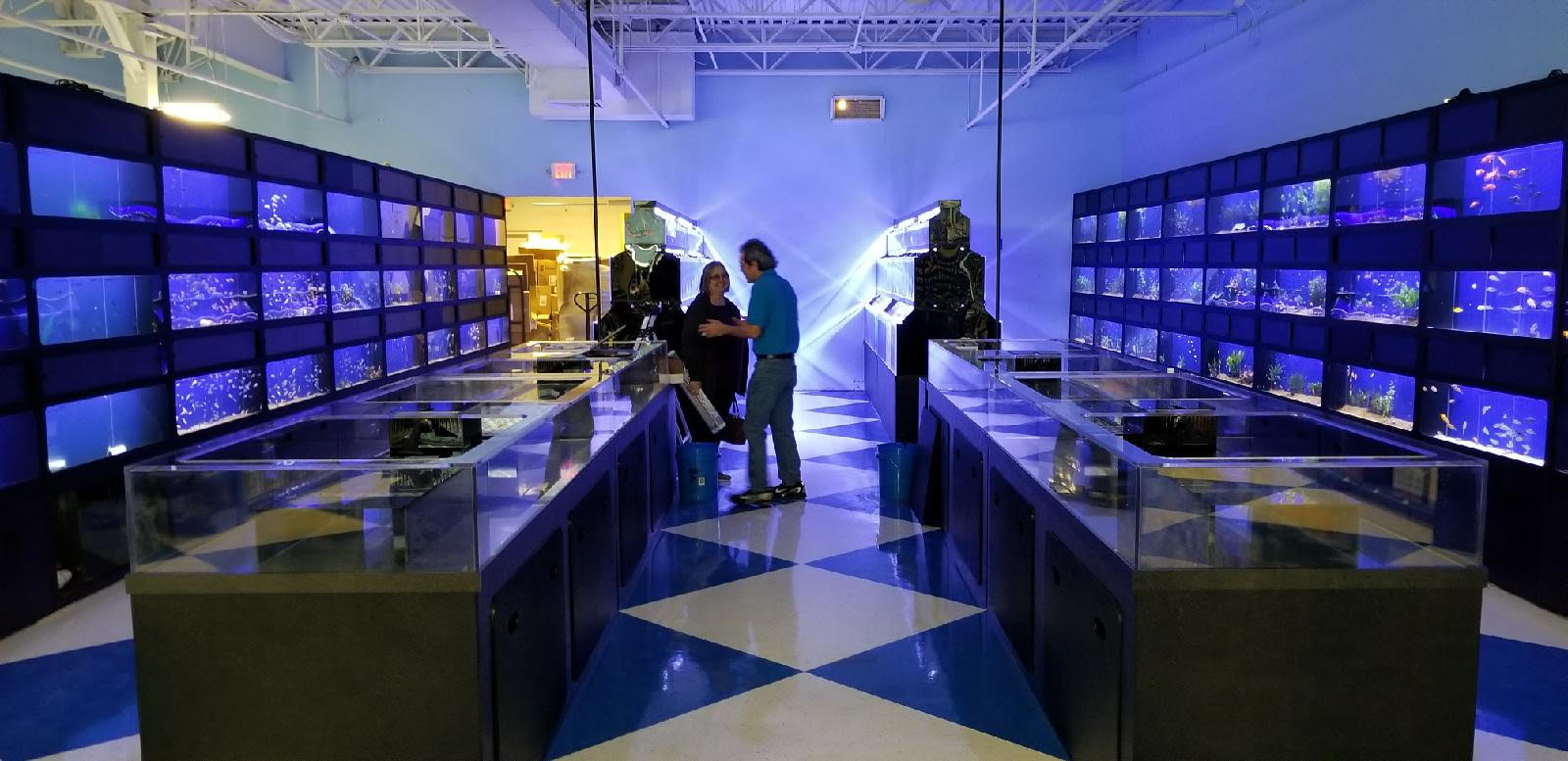 Sumps | Custom Aquariums | Retail Displays
