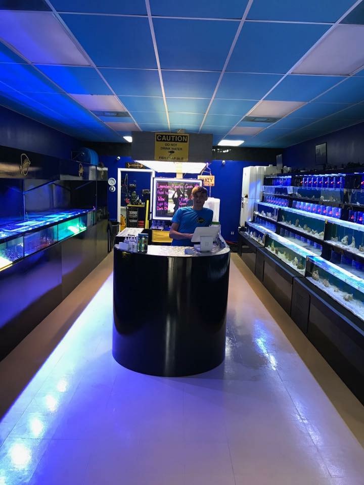 Sumps | Custom Aquariums | Retail Displays