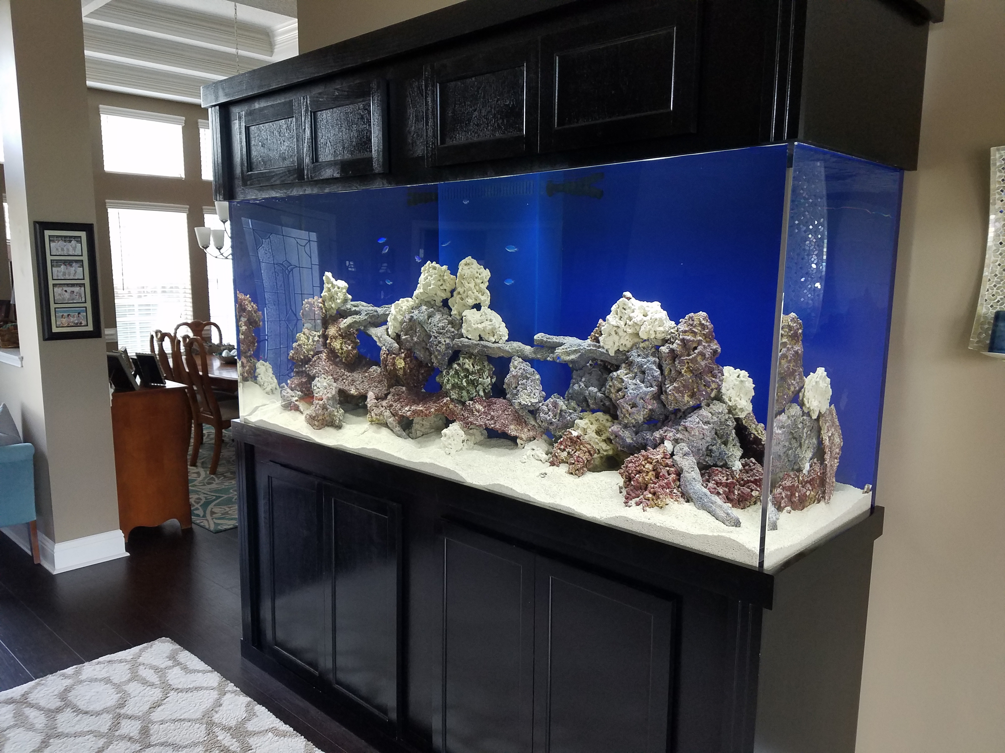 Sumps | Custom Aquariums | Retail Displays