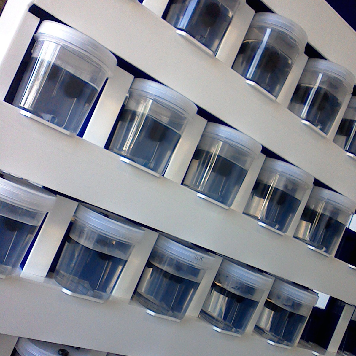 Aquatic Retail Displays