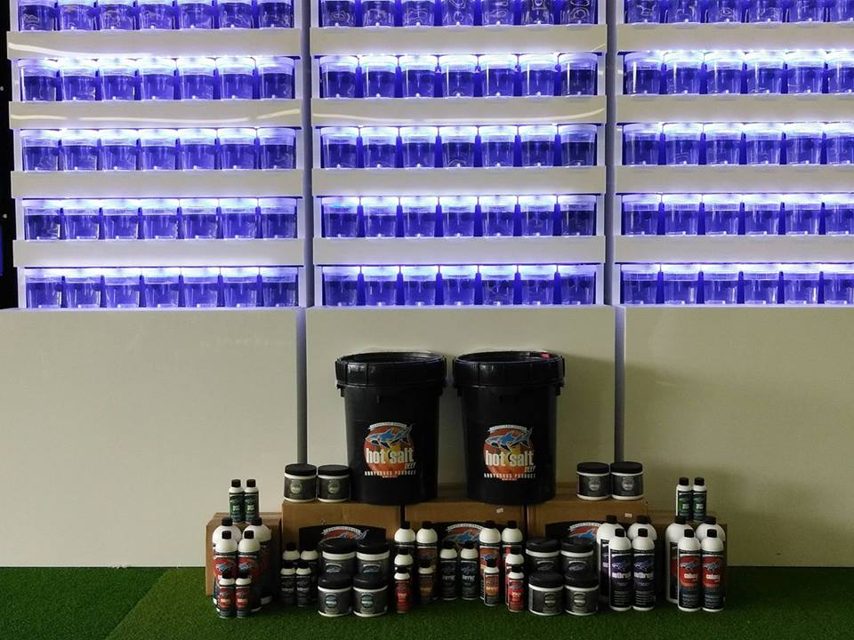 Sumps | Custom Aquariums | Retail Displays