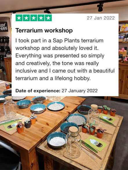 Reviews | Sap Plants