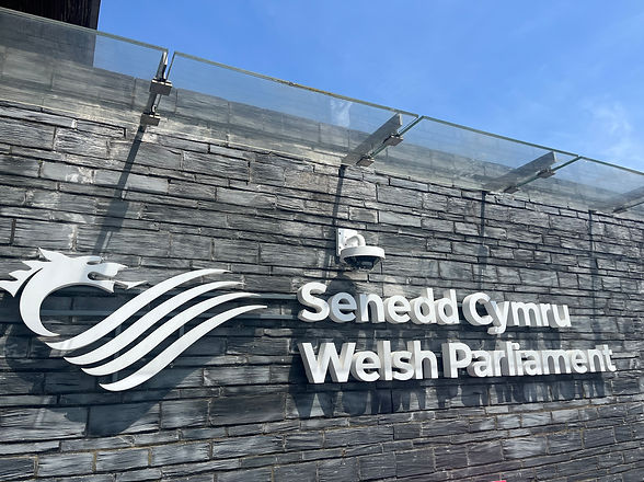 young senedd