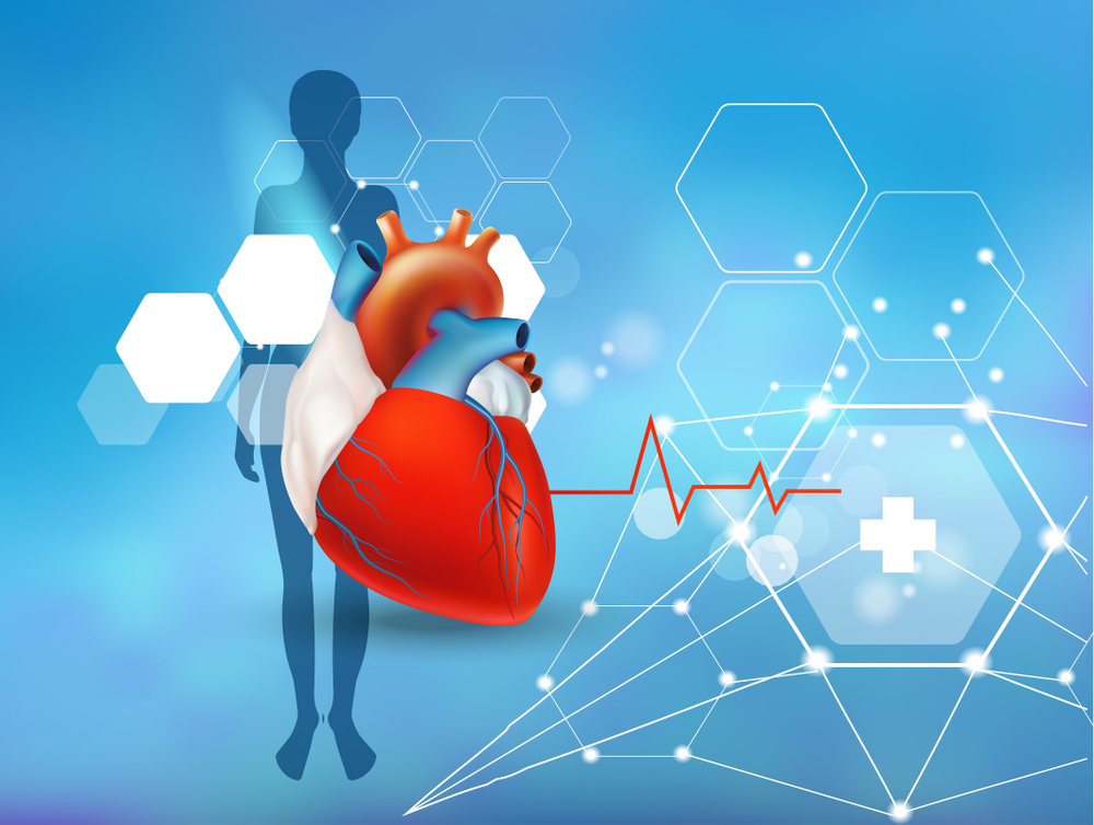 All You Need To Know About Cardiovascular Disease