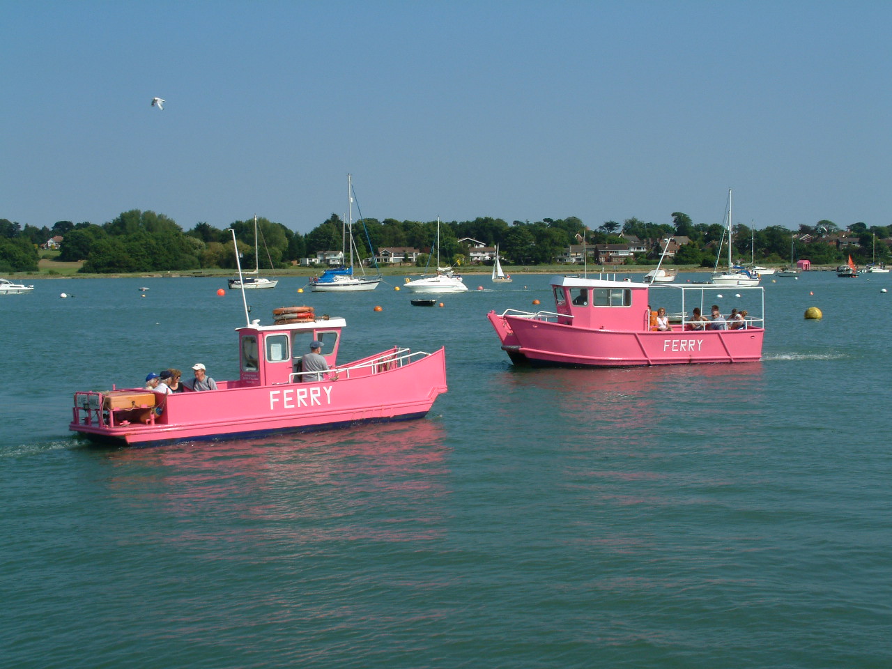 Oil Pink Ferryboat Art & Collectibles etna.com.pe