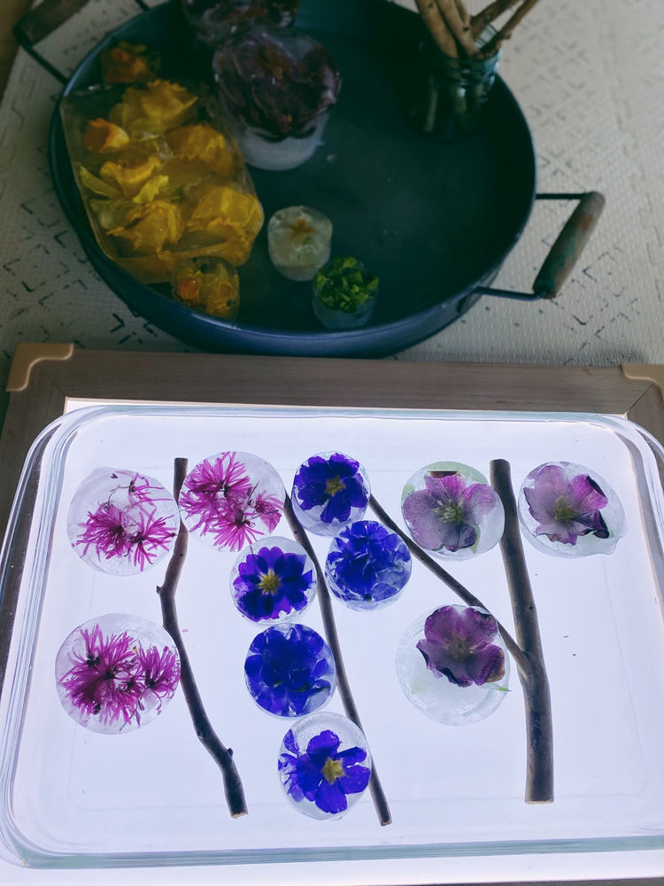 Invitation to Explore Frozen Flowers on the Light Table