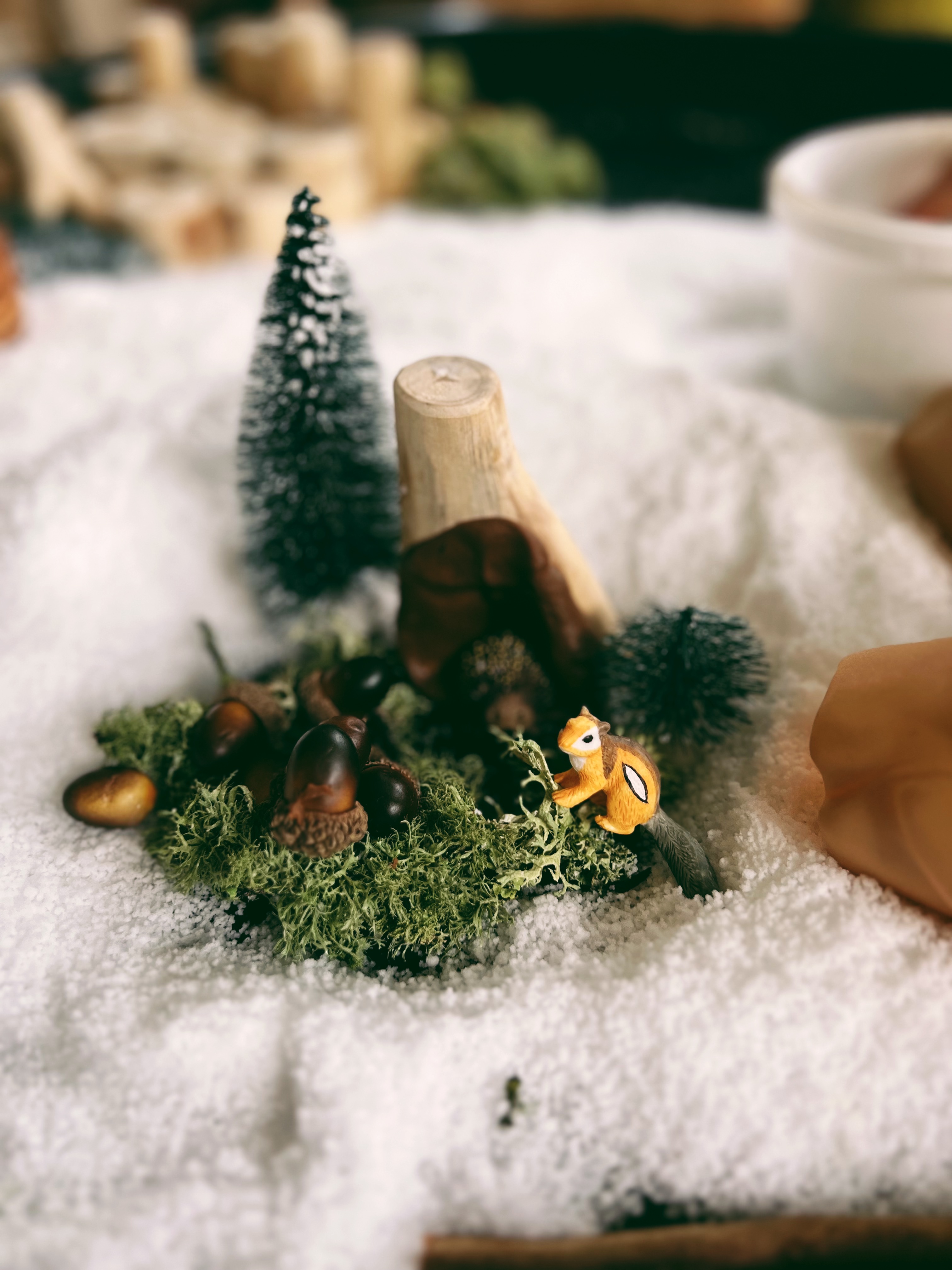 Winter Sleep Hibernation STEM Building