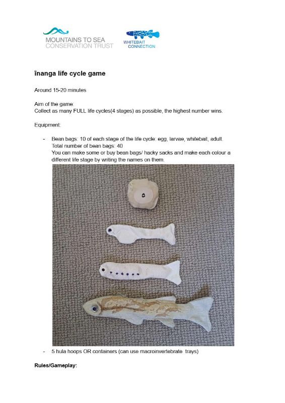 Īnanga Life Cycle Game | Mountains to Sea Conservation Trust