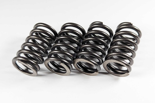 SGP Clutch Spring Set - DR650 | Bushpig Performance