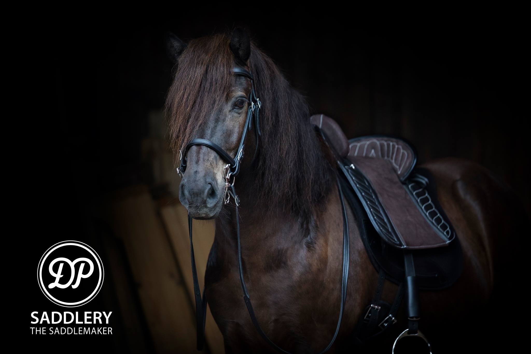 Flexible & Treeless Saddle Solutions | Holistic Equine Saddlery & Tack