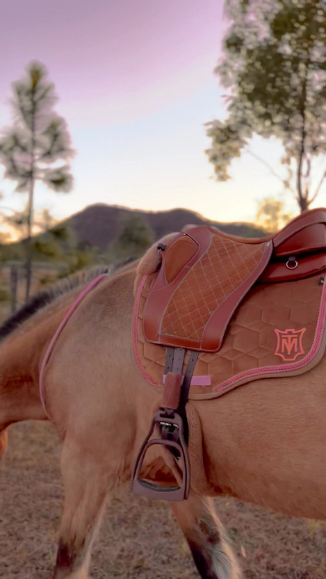 Treeless Saddles | Ghost Saddles