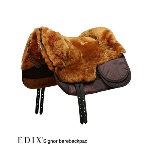 Edix Signor Bareback Saddle | hest