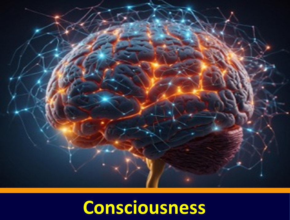 Beautiful imperfection: how, when and why did consciousness arise?