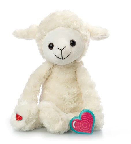 Sam the Lamb | Island County Ultra