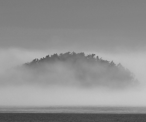 Foglifter Blend | Jennybean