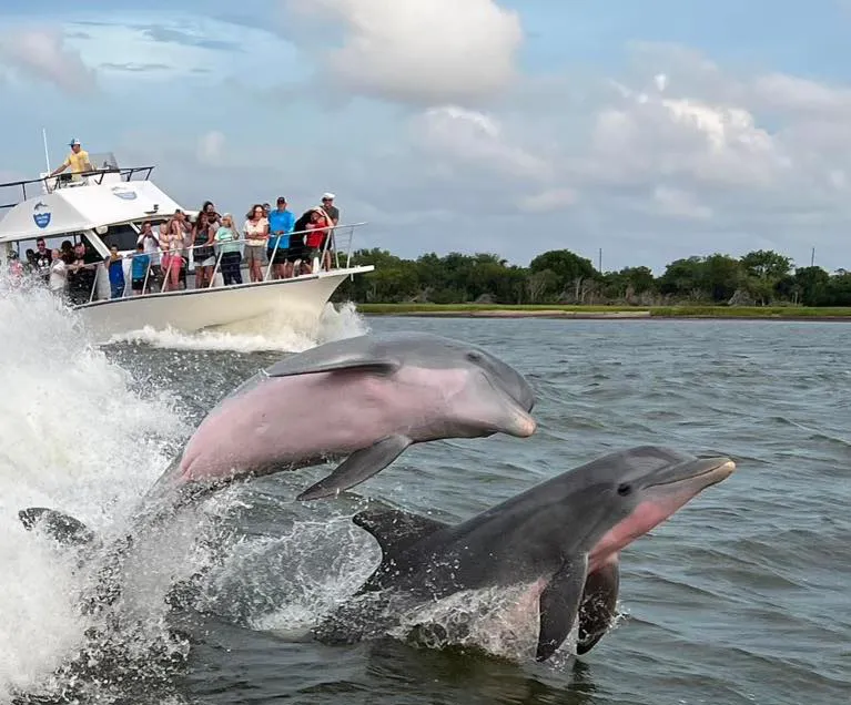 Tybee Island | Salty Palm Vacation Rental