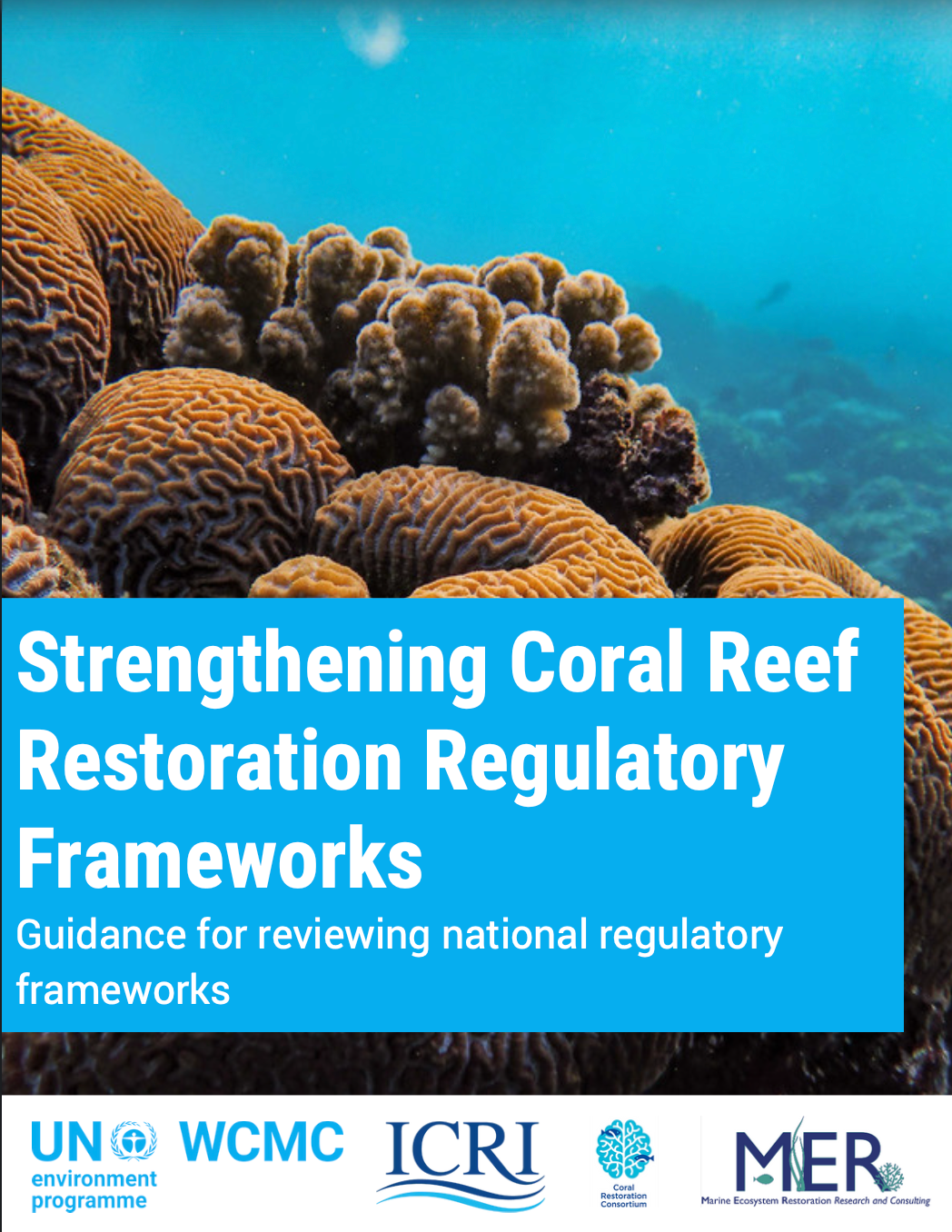 Strengthening Coral Reef Restoration Regulatory Frameworks: Guidance ...