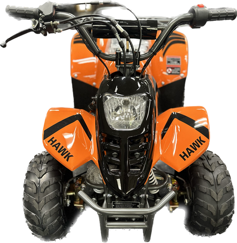 Vitacci Hawk 110cc ATV | PRIME MOTORSPORTS