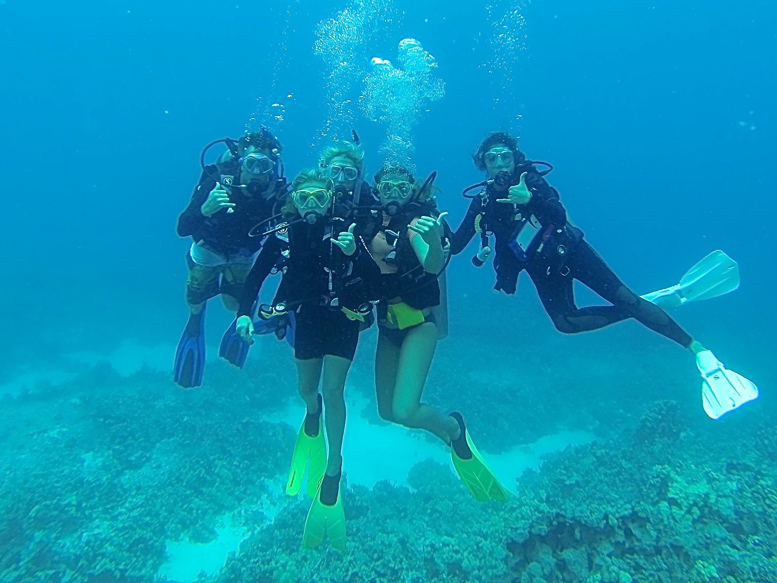 Kohala Coast Dive Club