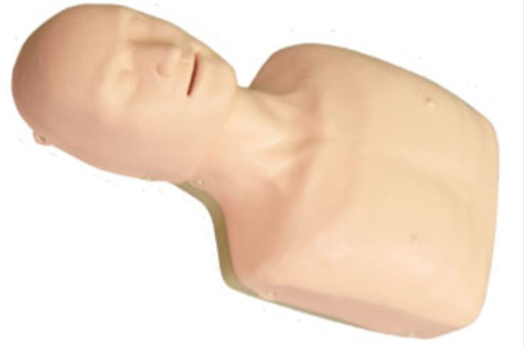 basic-cpr-manikin
