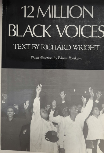 12 Million Black voices | Bradlc