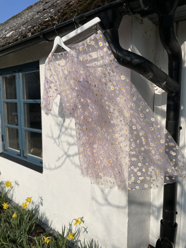 RENT | FLORENCE SET | Pampas