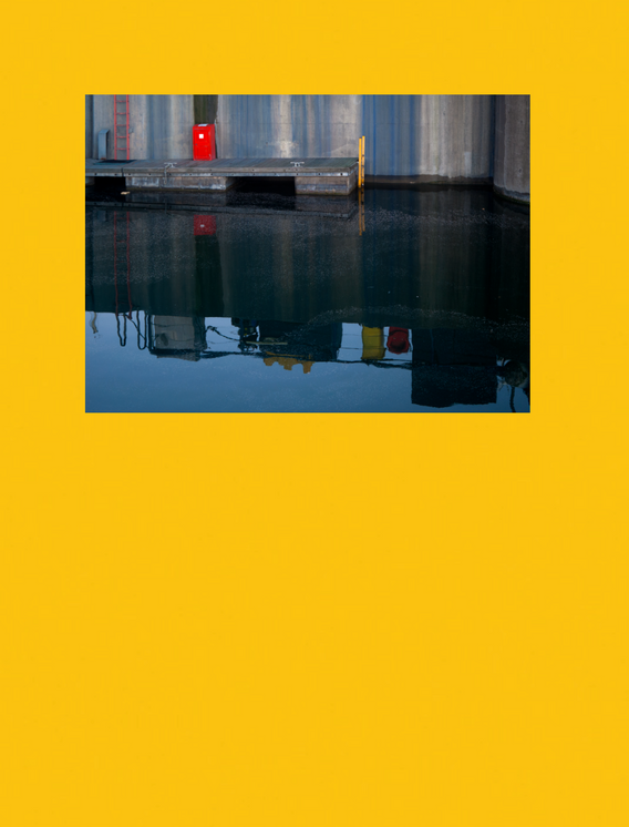 STAG-NATION | Artist | Lauramohapi.com