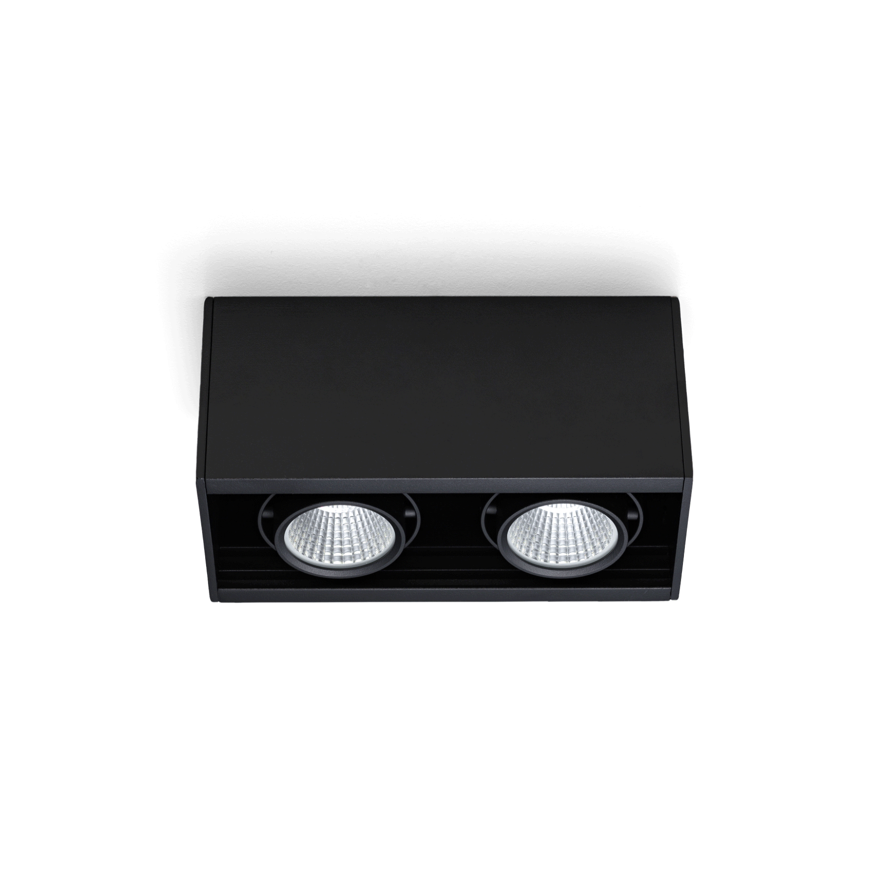 Black Adjustable Ceiling Mounted Spot Lights - 2 Lamps | Noahathome