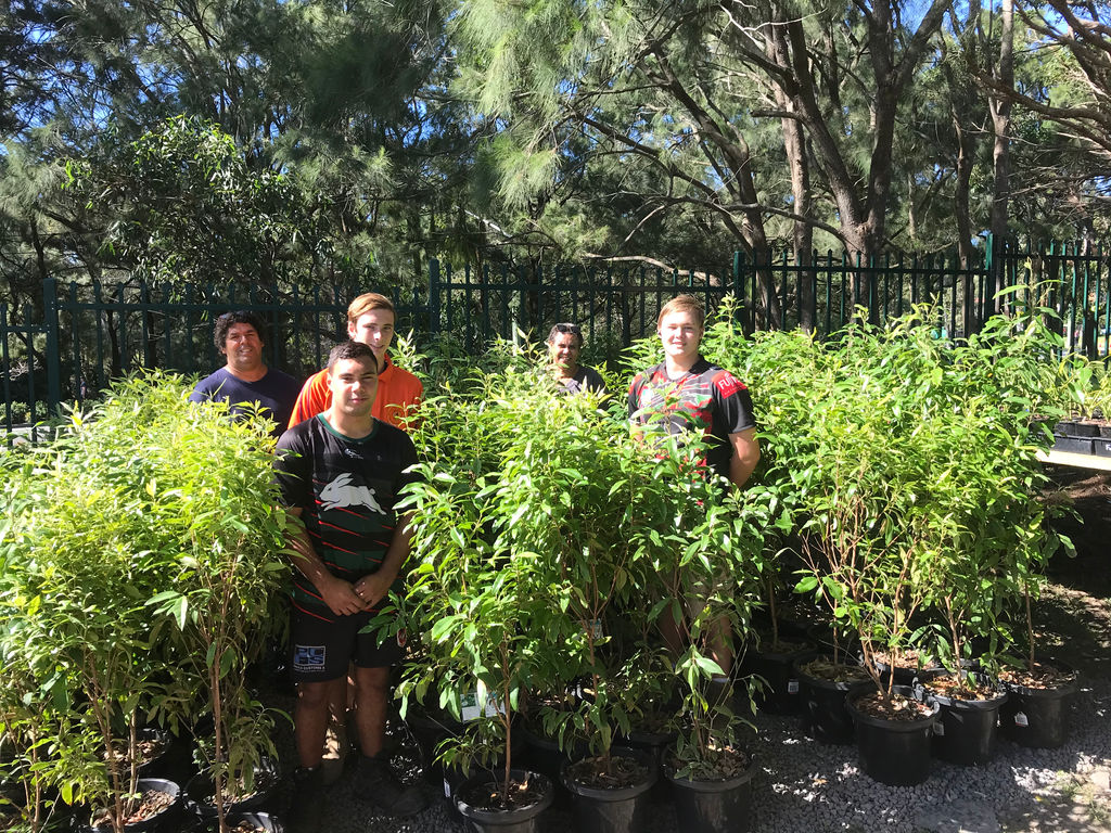 IndigiGrow - Australian Bushfoods