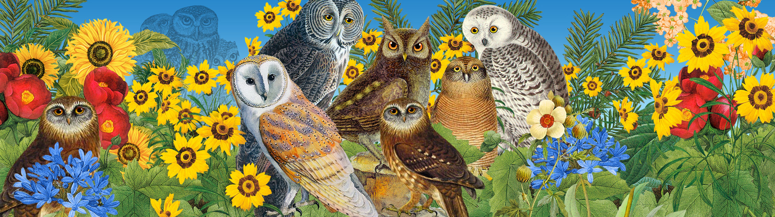 Owls | the-fat-finch